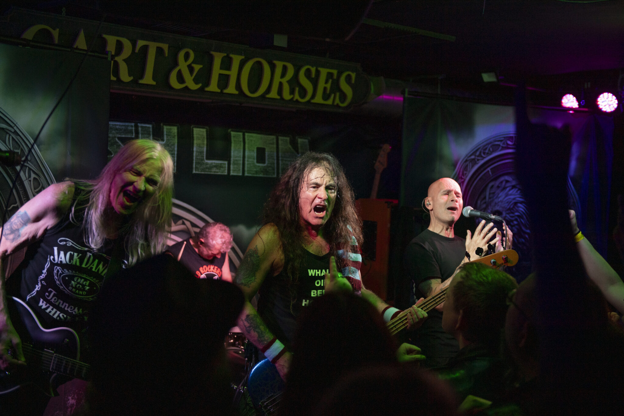 News | British Lion